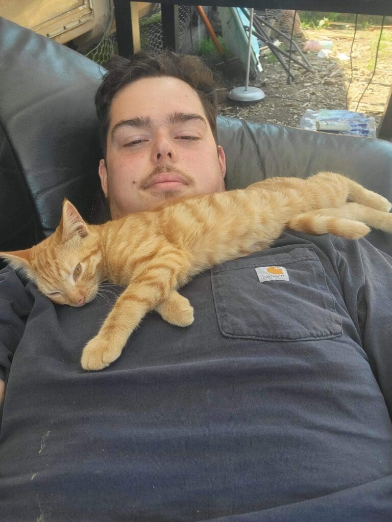 My Beautiful Cats | Richard Applegate